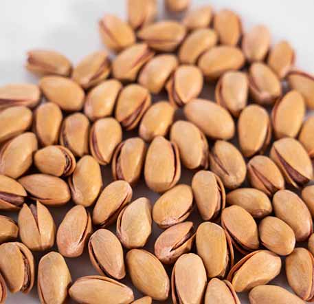 About Sarva – We Are Sarva Food