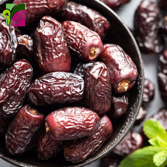 Medjool-Dates – We Are Sarva Food