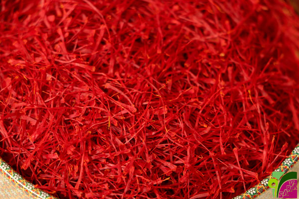 Negin – We Are Sarva Food