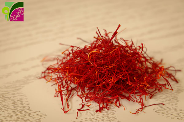 Pushal – We Are Sarva Food