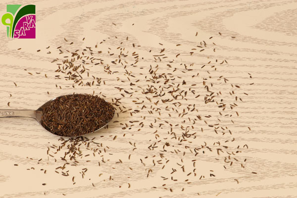 Black-Cumin – We Are Sarva Food