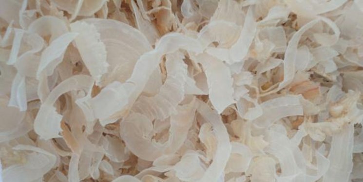 Tragacanth – We Are Sarva Food